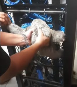 Como ativar o Slow Query log no SQL Server? - Furushima